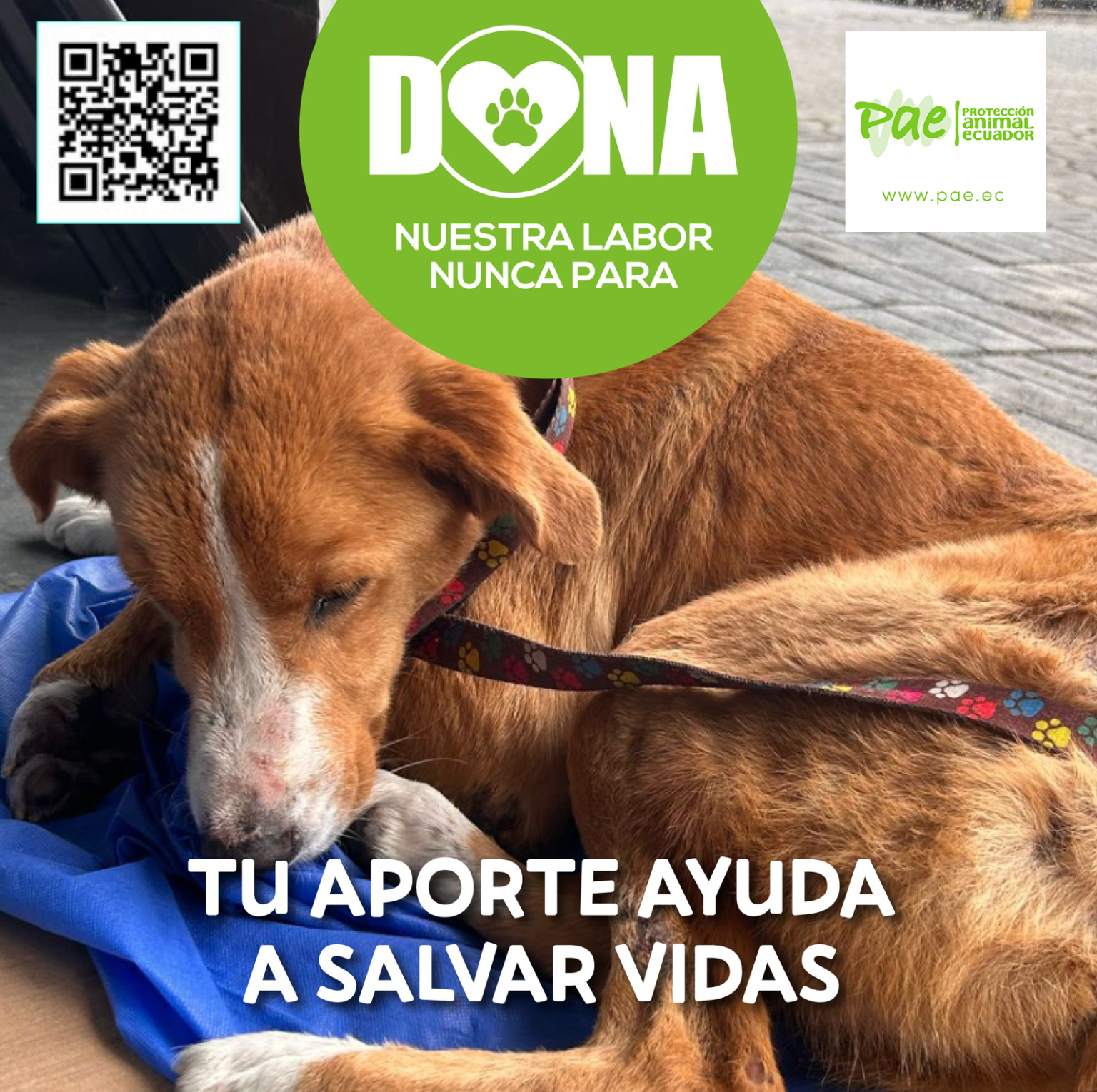 Pilahuin Tio: más de una década fortaleciendo las finanzas en Quito ...